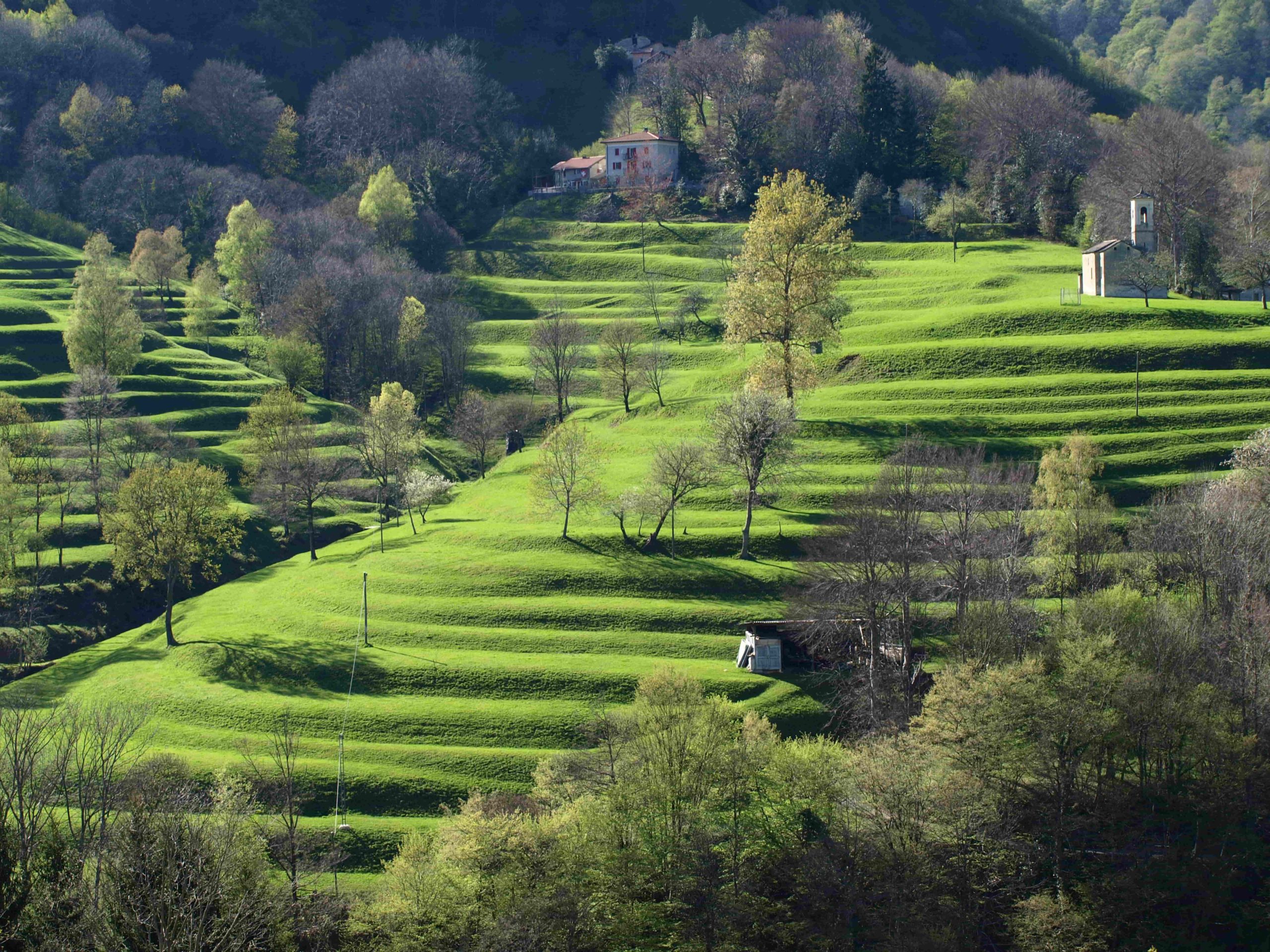 out & ABOUT – Switzerland Trekking